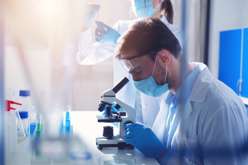 How Does Molecular Testing Work? - Clarity Labs